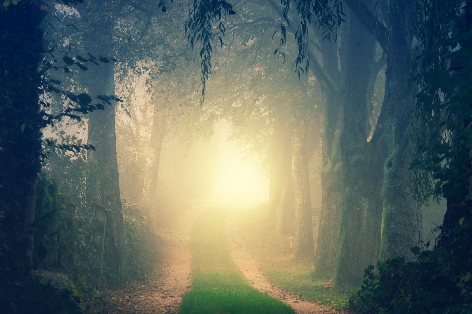 JPlenio Free Landscape Pictures - Home